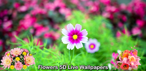 5D Flowers Live Wallpaper Android App