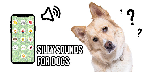 Silly Sounds for Dogs Android App