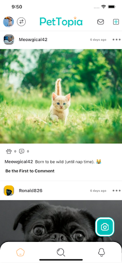 在PC電腦上下載更多類似PetTopia的遊戲/應用程式