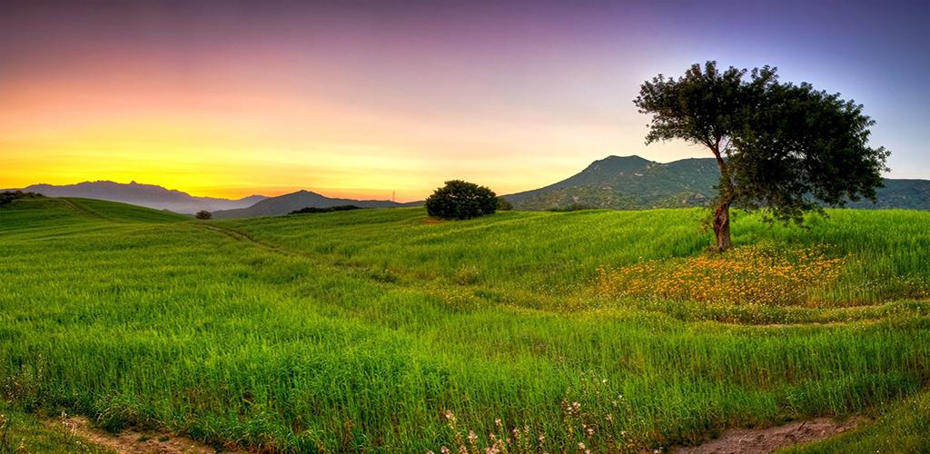 Summer Wallpapers HD & 4k Backgrounds - Latest version 4.0 for Android ...