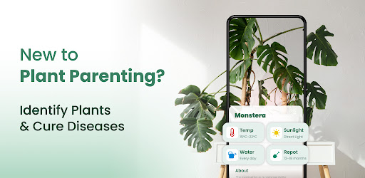 Plantify: Plant Identifier Android App