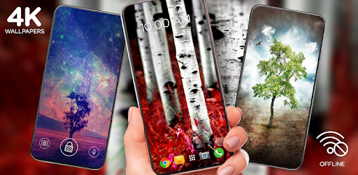 Trees offline wallpapers