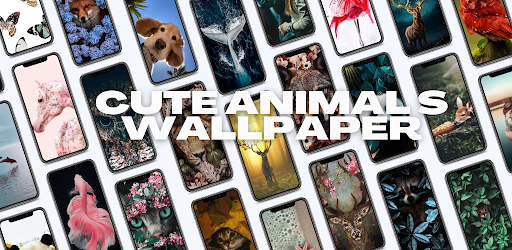 cute animals wallpaper Android App