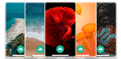 Wallpapers HD Backgrounds Android App