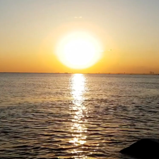 Sunset Live Wallpaper Pro - Apps on Google Play