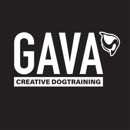 Google Play의 Gava Hund 개발자 Android 앱