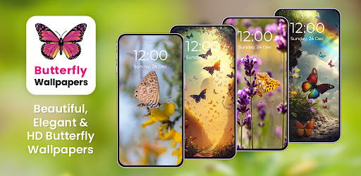 Cute HD Butterfly Wallpapers Android App