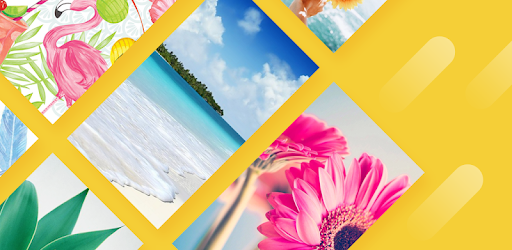 Mojo Backgrounds & Wallpapers Android App