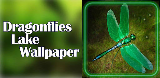 Dragonflies Lake Wallpaper Android App