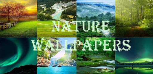 nature wallpaper Android App