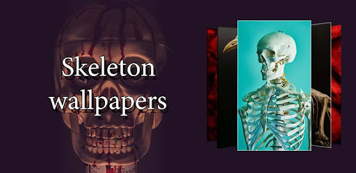 Skeleton Wallpapers and Backgrounds Android App