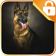 German Shepherd Dog Lock Screen para PC / Mac / Windows 11,10,8,7 ...