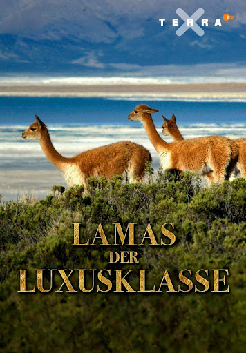 Viva Vicuna! Lamas der Luxusklasse – Filme bei Google Play