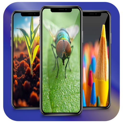Macro Wallpaper HD 4K - Apps on Google Play