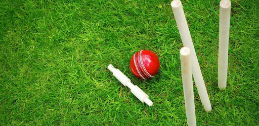 Dream11 Fantasy Crickets Team Predictions Guide