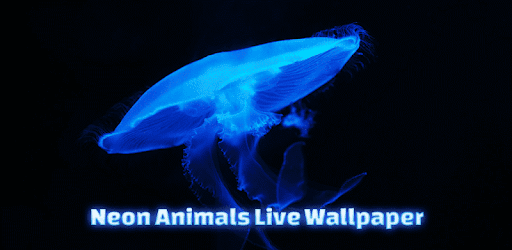 Neon Animals Live Wallpaper Android App