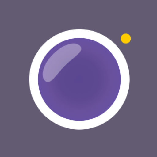 Camera Inspector - Google Play 앱