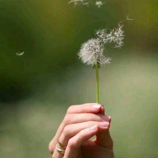 900 words - Apps on Google Play