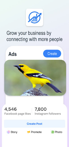 Business Manager Ads for PC / Mac / Windows 11,10,8,7 - Free Download ...