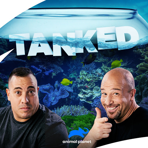 Tanked - TV on Google Play