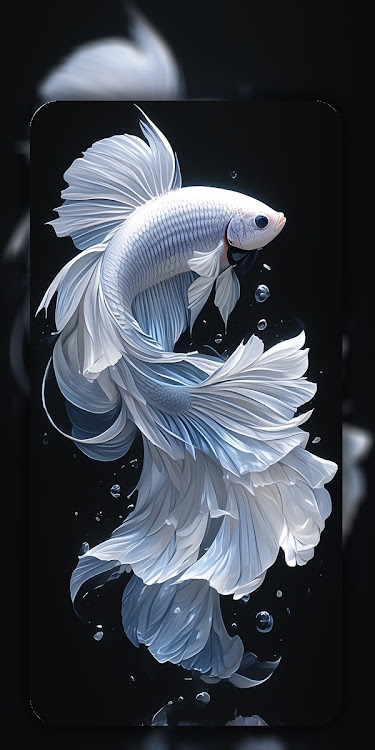 Betta Fish Wallpaper 4K (by FireSuiren) - (Android Apps) — AppAgg