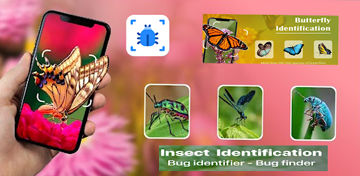 Insectes ID: Bug Identifier Android App