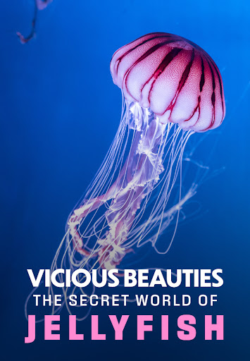 Vicious Beauties - The Secret World of Jellyfish - TV on Google Play