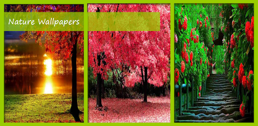 Nature Wallpapers Android App