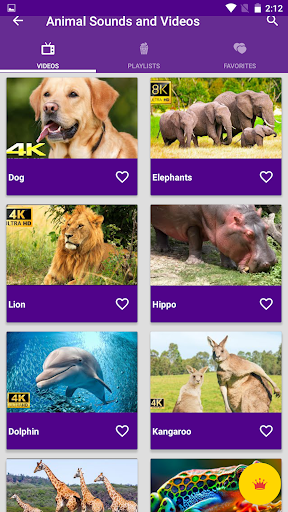 Animal Sounds and Videos for PC / Mac / Windows 11,10,8,7 - Free ...