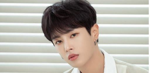 Li Wen Han Wallpapers Android App