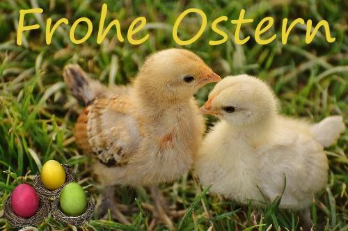 Frohe Ostern para PC / Mac / Windows 11,10,8,7 - Descarga gratis ...