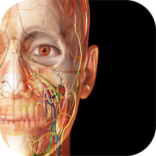 Visible Body Suite - Apps en Google Play