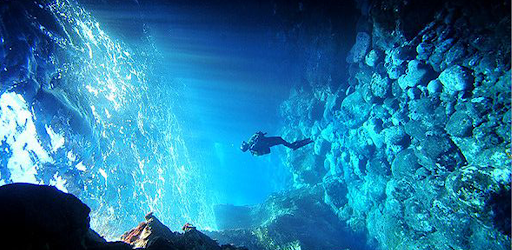 Deepsea Wallpaper Android App