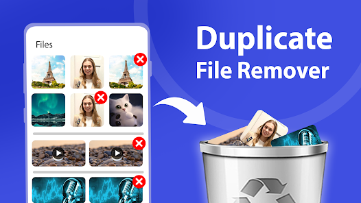 Duplicate file remover store