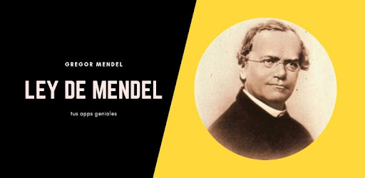 Mendel's Law Android App