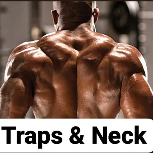 Traps & Neck Workout Exercises for PC / Mac / Windows 11,10,8,7 - Free ...