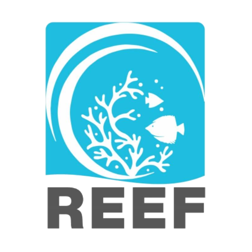 REEF - Apps on Google Play