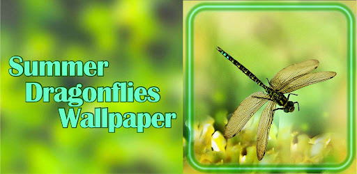Summer Dragonflies Wallpaper Android App