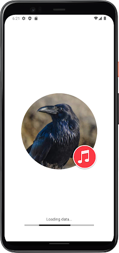 Raven Bird Sounds for PC / Mac / Windows 11,10,8,7 - Free Download ...