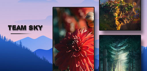 Team Sky Android App