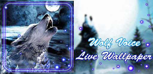 Wolf Voice Live Wallpaper Android App