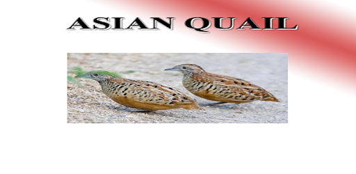 Threshing sound birds Android App