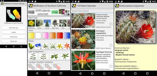 california-wildflower-identification-app-vantrowmonroela