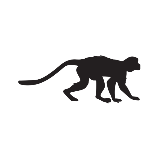 Wanderoo - Apps on Google Play