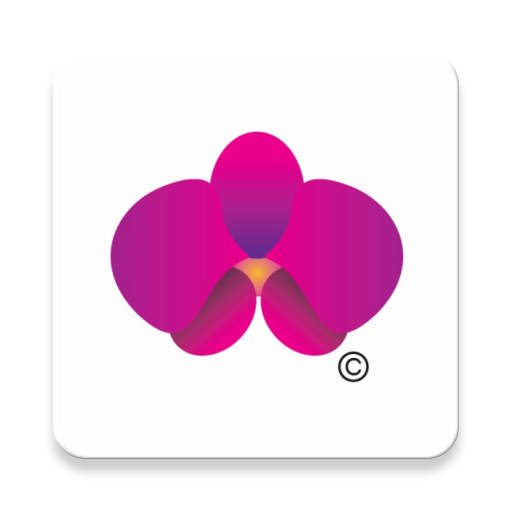 Mi Pedido Arabela - Apps on Google Play