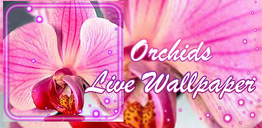 Orchids Live Wallpaper Android App