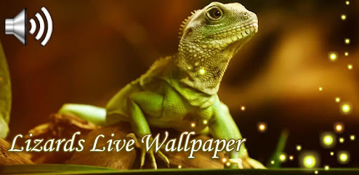Lizards Live Wallpaper Android App