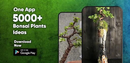 Bonsai Plants Ideas 5000+ Android App