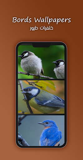 8k Birds wallpapers for PC / Mac / Windows 11,10,8,7 - Free Download ...
