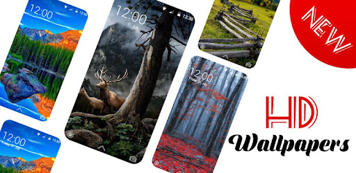 Forest Live Wallpaper HD Android App